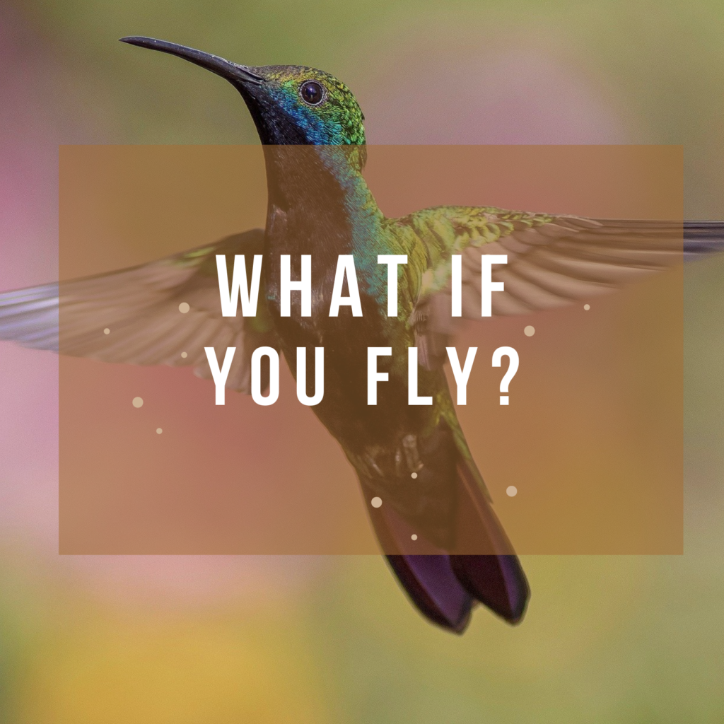 What if You Fly? - Vicki Znavor