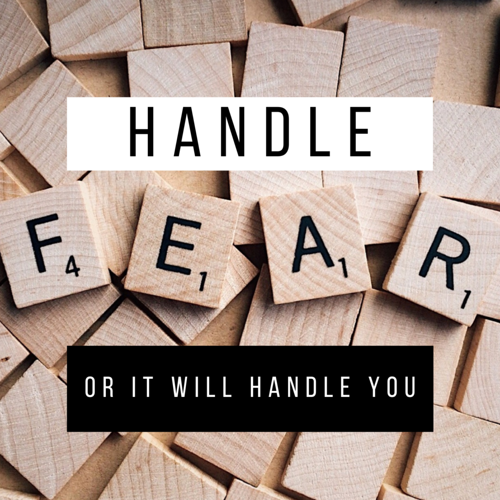 Handle Fear or It Will Handle You - Vicki Znavor